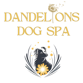 Dandelions Dog Spa - Evans GA | Vagaro